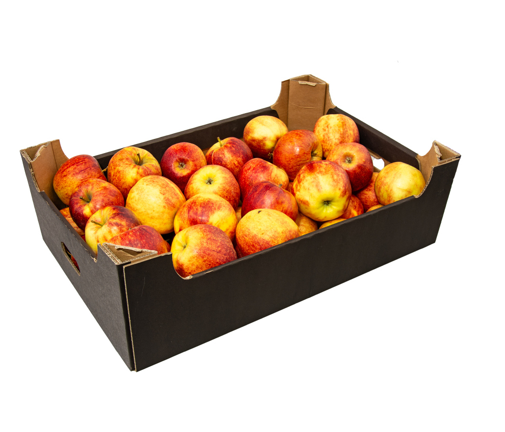 JABŁKO LIGOL / LIGOL APPLE | POLWIT orders