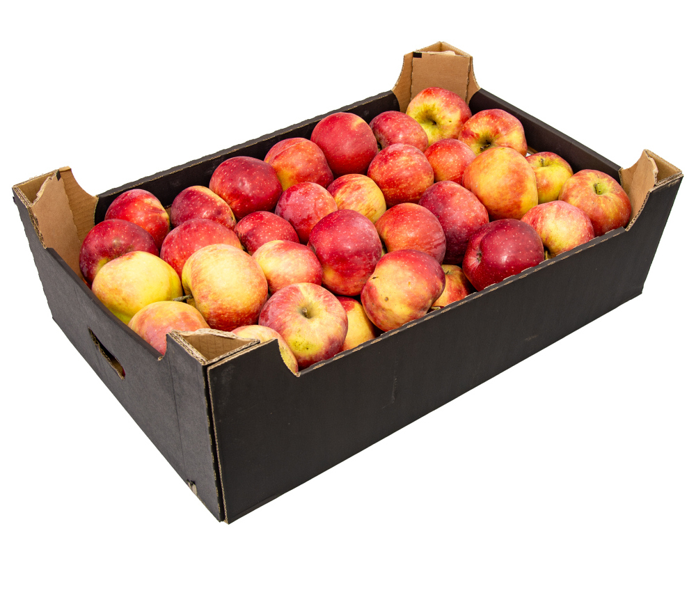 JABŁKO PRINCE / PRINCE APPLE | POLWIT orders